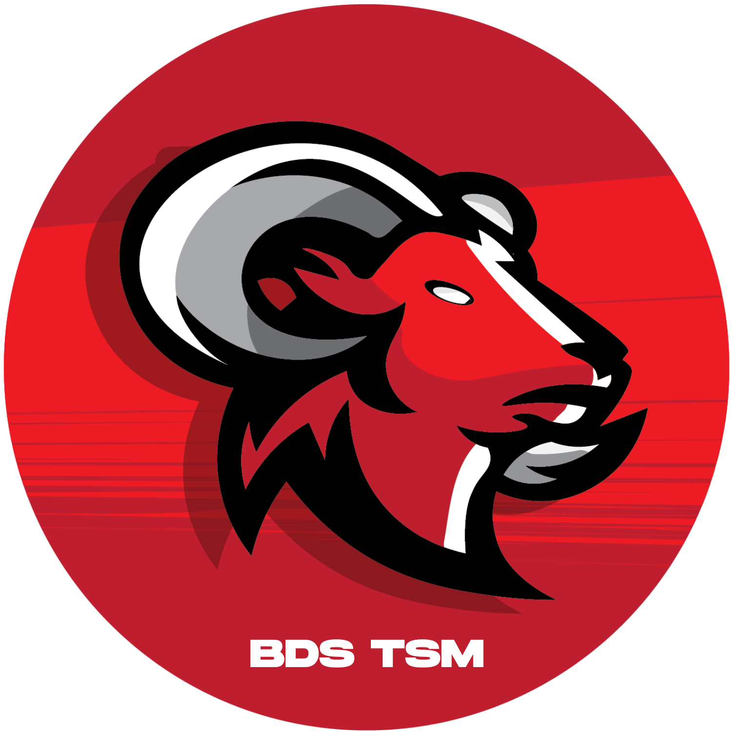 BDS | TSM Éducation